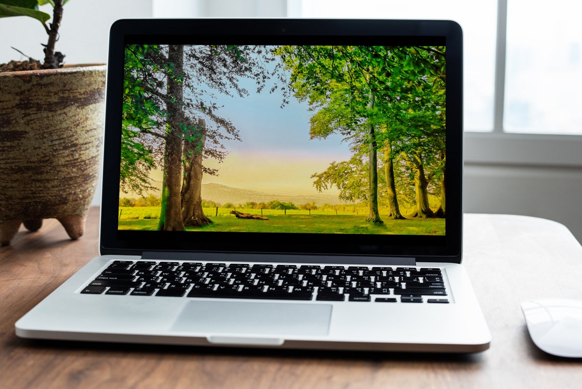 Forest Zoom Background Instant Download, Microsoft Teams Virtual ...