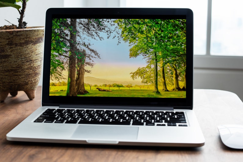 Forest Zoom Background Instant Download, Microsoft Teams Virtual ...