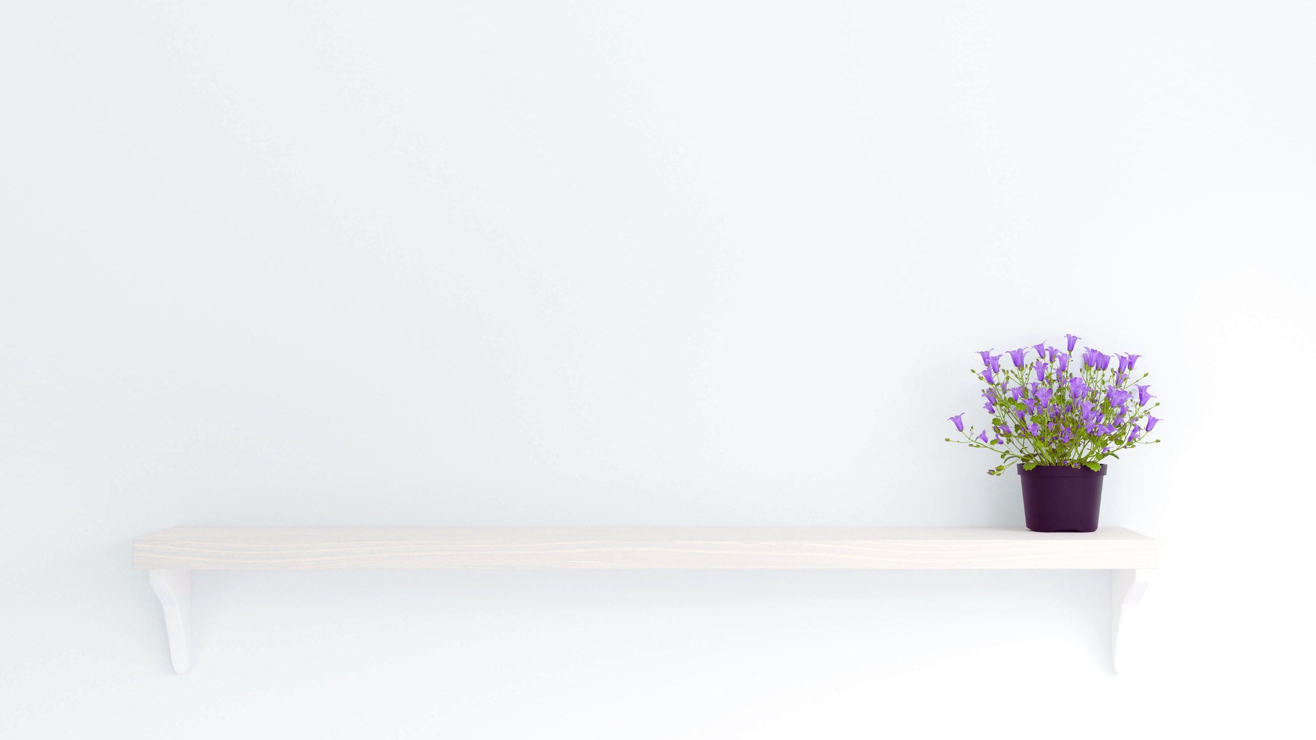 White Plain Wall Home Office Virtual Background, Professional Zoom ...