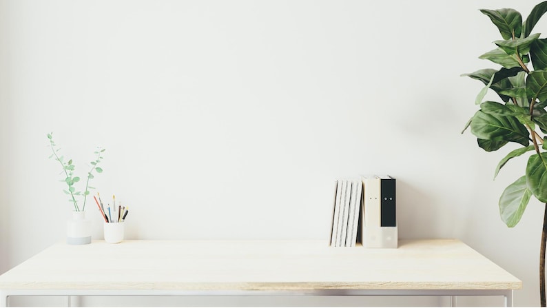 Minimalist Virtual Background Office Bundle, Solid Zoom Background ...