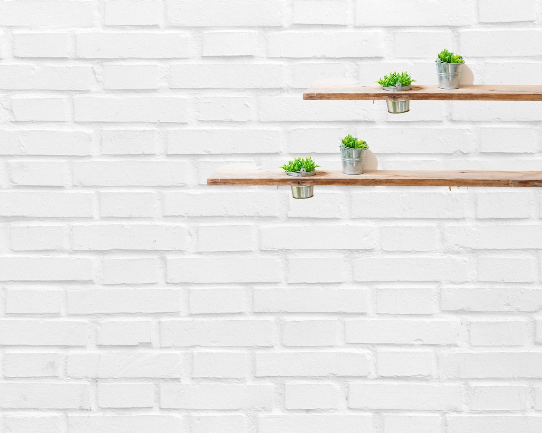 White Brick Wall Zoom Background With Shelves and Plants, Virtual ...