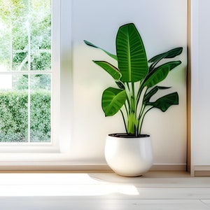 Bright and Professional Zoom Background, Virtual Background, Work From ...