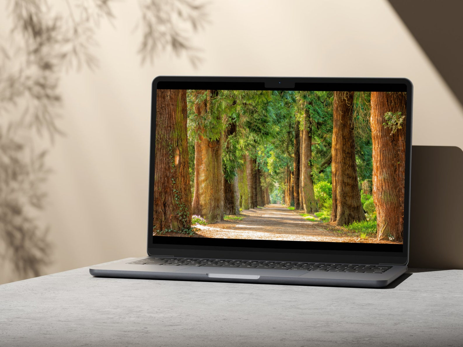 Home Office Virtual Zoom Background, Bright Forest MS Teams Digital ...