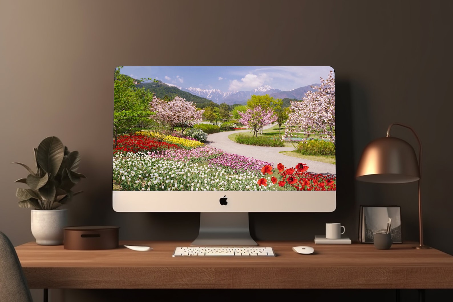Scenic Landscape Zoom Background, Work From Home Virtual Background ...