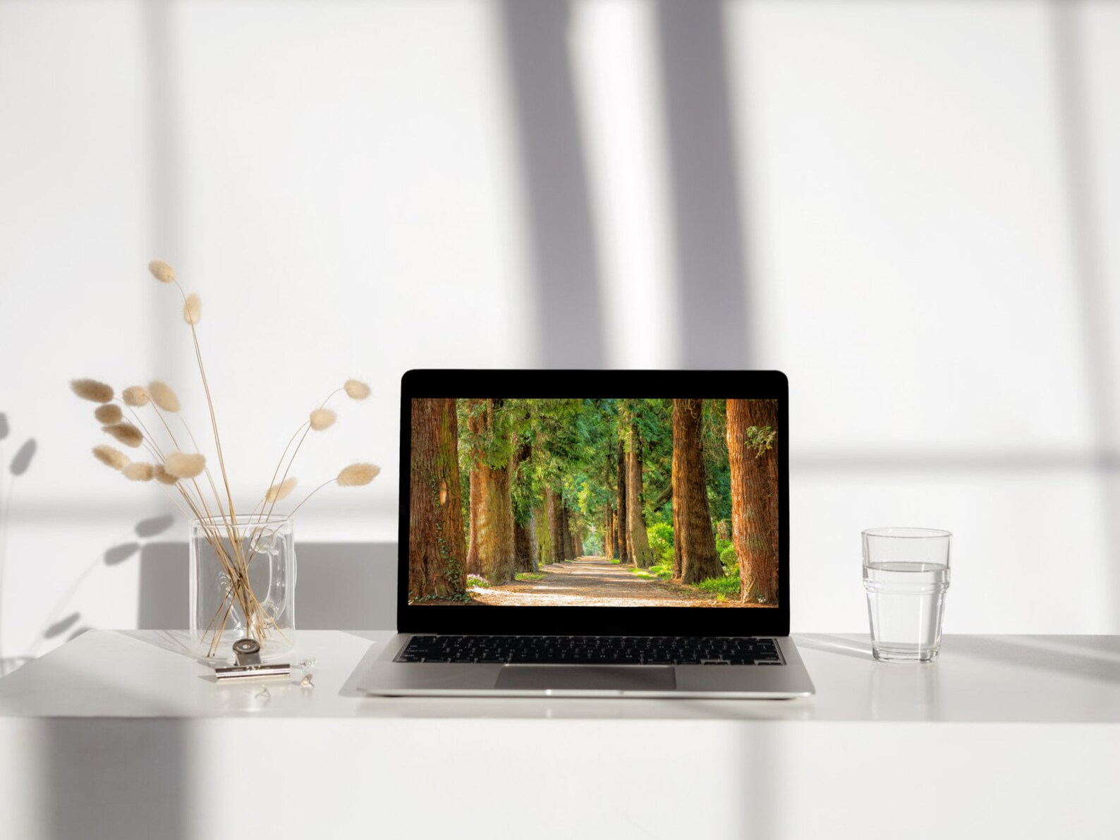Home Office Virtual Zoom Background, Bright Forest MS Teams Digital ...