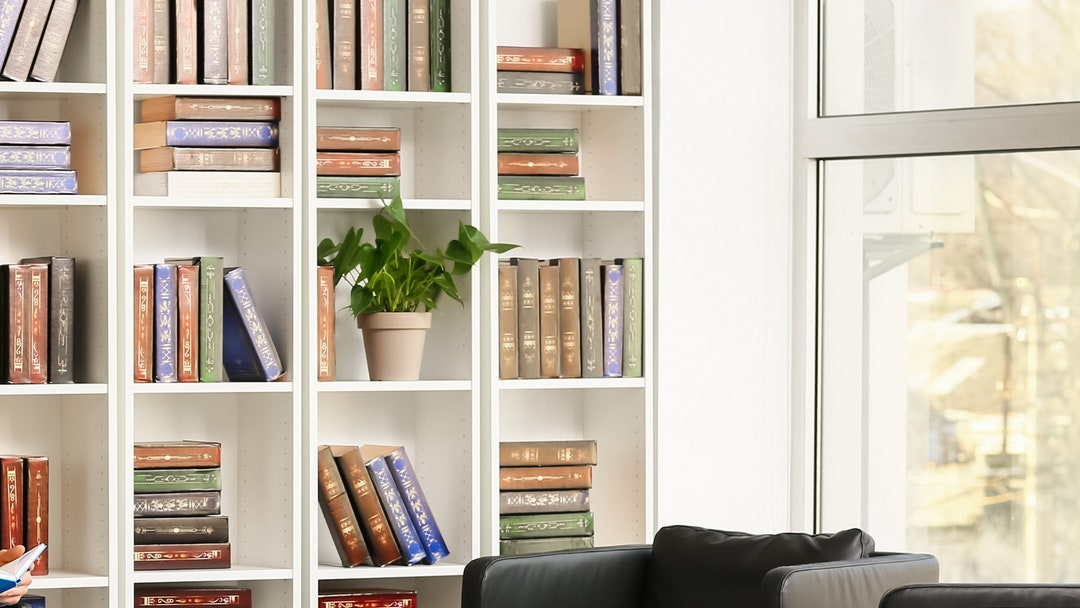 Bookshelf Virtual Background Home Office, Best Zoom Background, MS ...