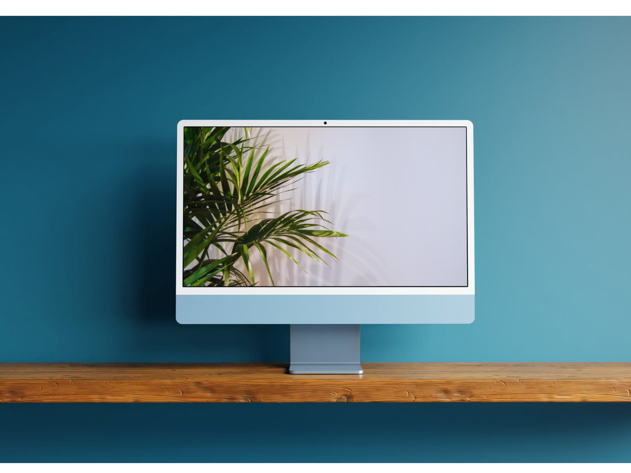 Plain Wall Virtual Zoom Background, Plant MS Teams Digital Virtual ...