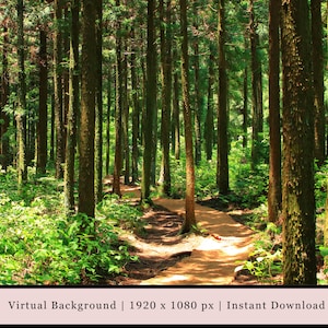 Forest Home Office Zoom Background, Virtual Backdrop Zoom Meeting ...