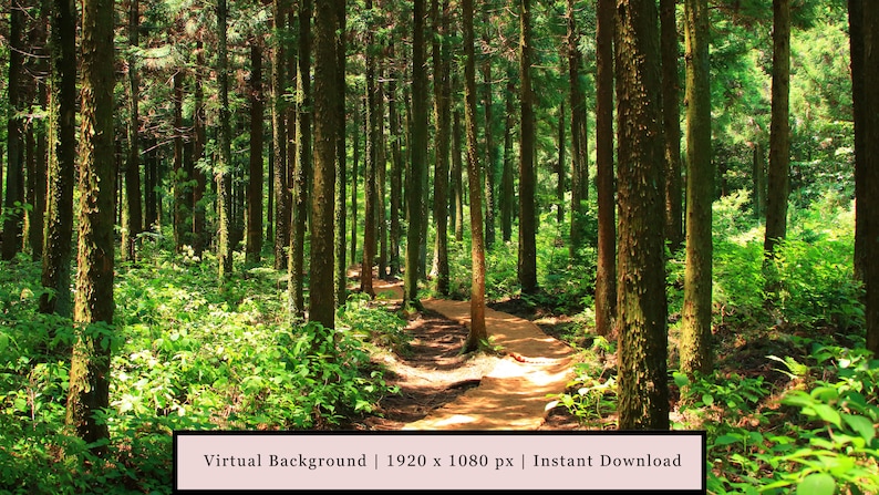 Forest Home Office Zoom Background, Virtual Backdrop Zoom Meeting ...