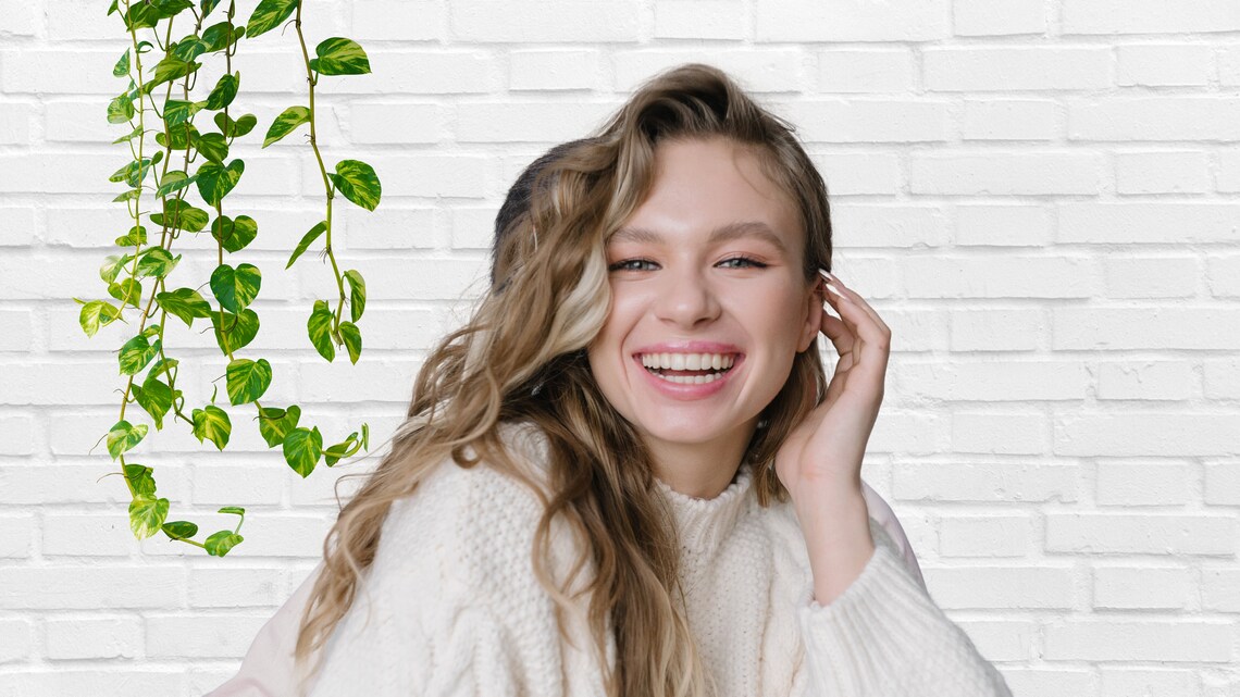 Hanging Plant Zoom Background With Clean White Brick Wall, Virtual ...