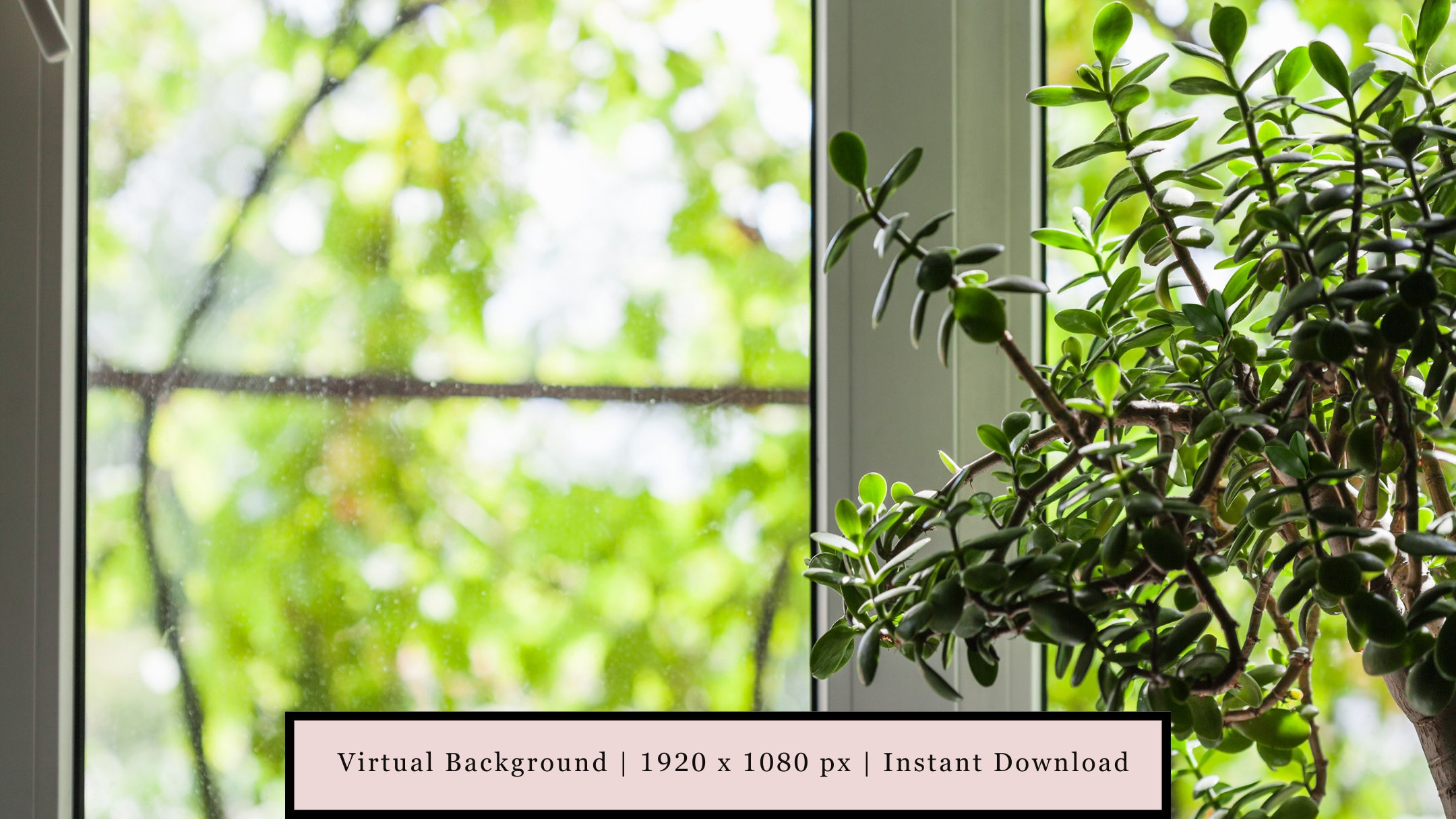 Realistic Plants Virtual Background, Green Leaves Zoom Background ...