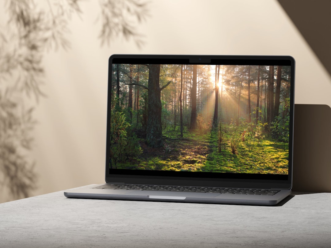 Forest Work From Home Virtual Background, MS Teams Digital Download ...