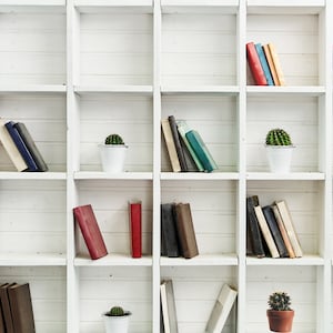 Virtual Zoom Background Bookcase, MS Teams Digital Download Virtual ...