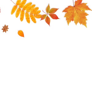Fall Zoom Background, Home Office Zoom Backdrop, Autumn Virtual ...