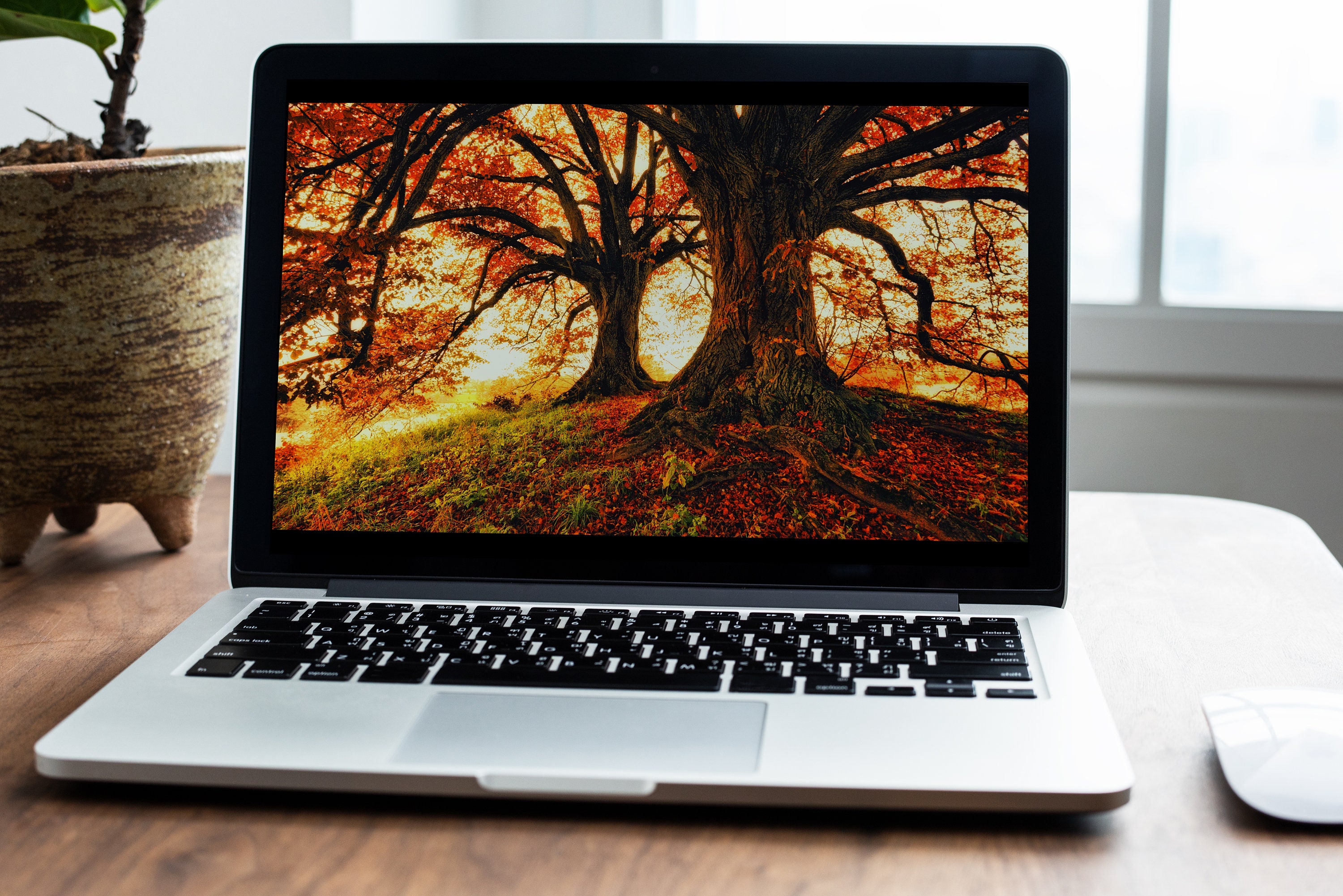 Forest Zoom Background, Fall Virtual Background, Microsoft Teams Trees ...