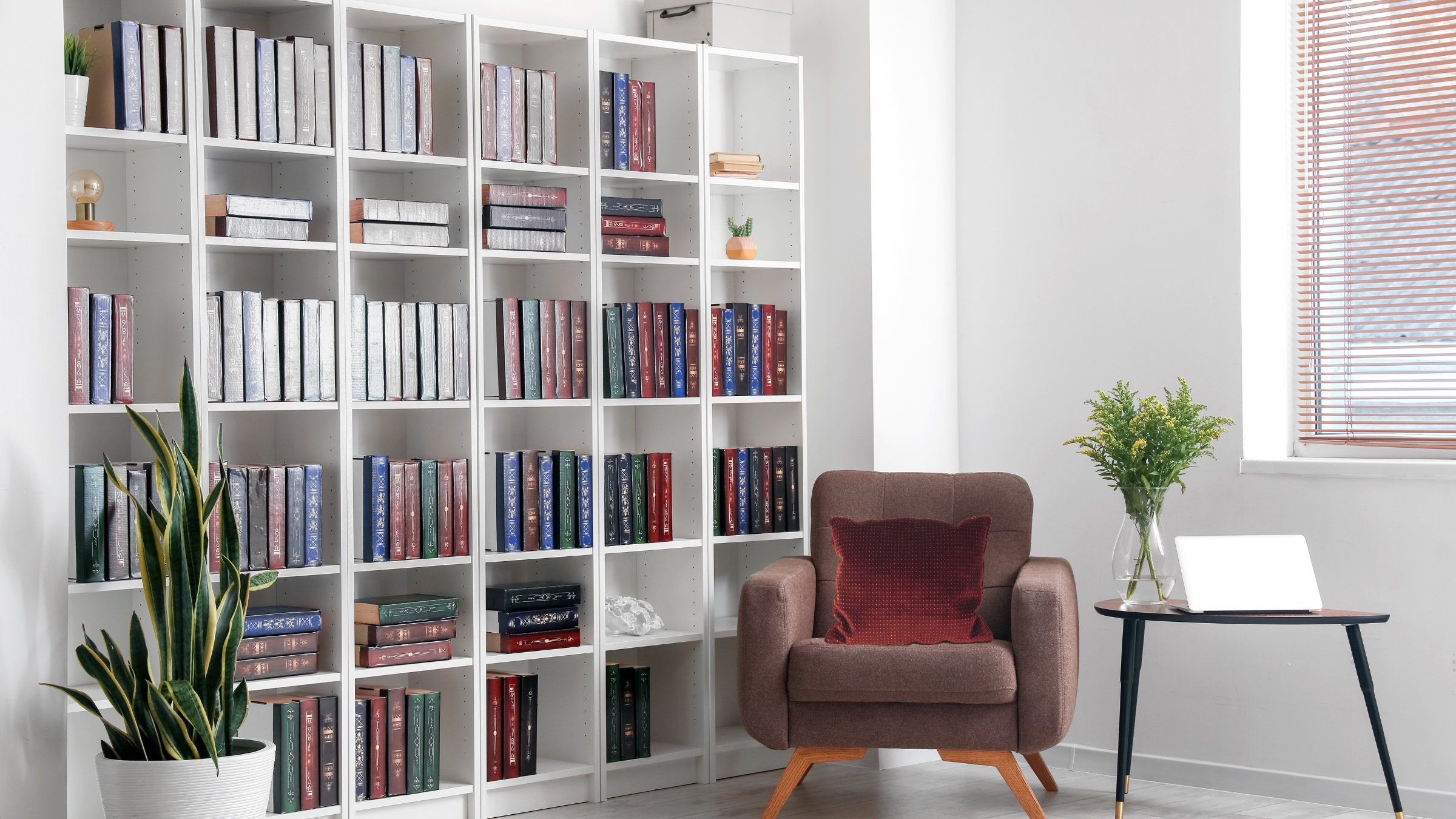 Realistic Home Office Virtual Background, Bookshelf Zoom Backgrounds ...