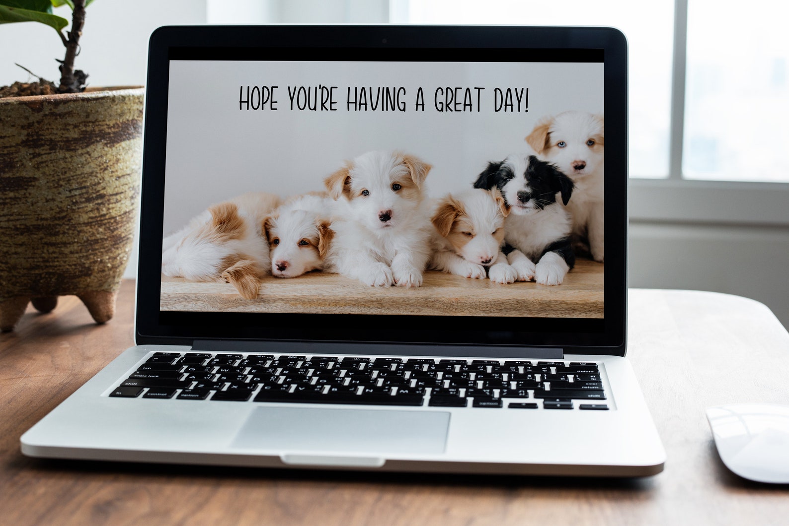 Puppy Zoom Background, Work From Home Virtual Background, MS Teams ...
