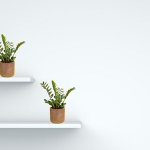 Shelves Zoom Background, Realistic Bookshelf Virtual Background ...