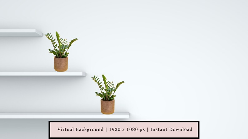 Shelves Zoom Background, Realistic Bookshelf Virtual Background ...