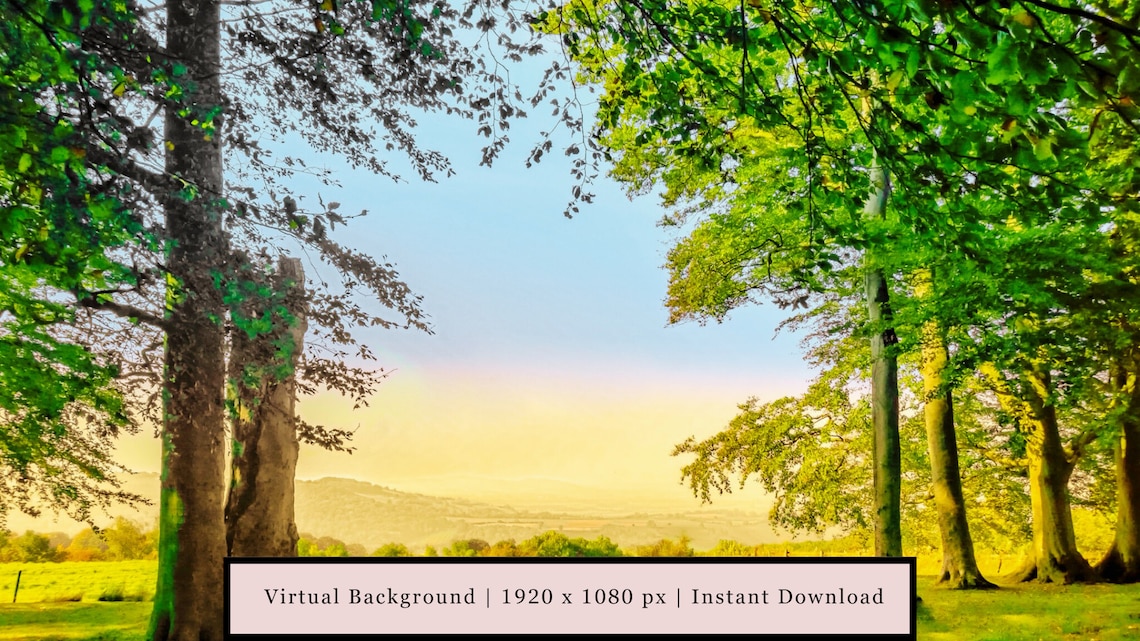 Forest Zoom Background Instant Download, Microsoft Teams Virtual ...