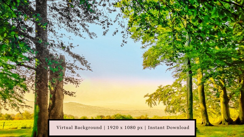 Forest Zoom Background Instant Download, Microsoft Teams Virtual ...