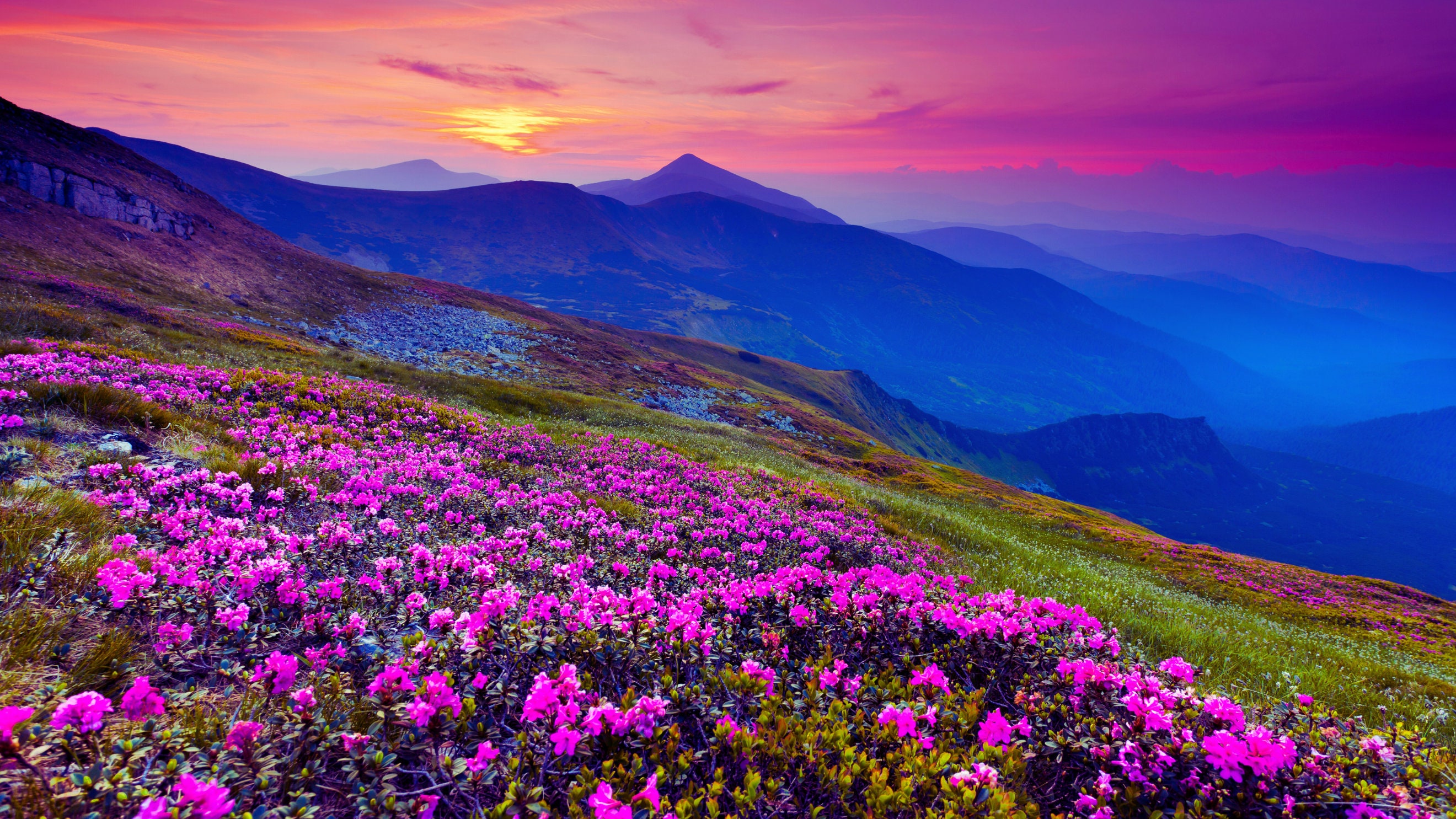 Instant Download Virtual Background, Best Microsoft Teams Background ...