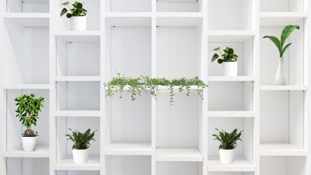 Bright White Home Office Bookshelf, Zoom Background Bookcase, Virtual ...