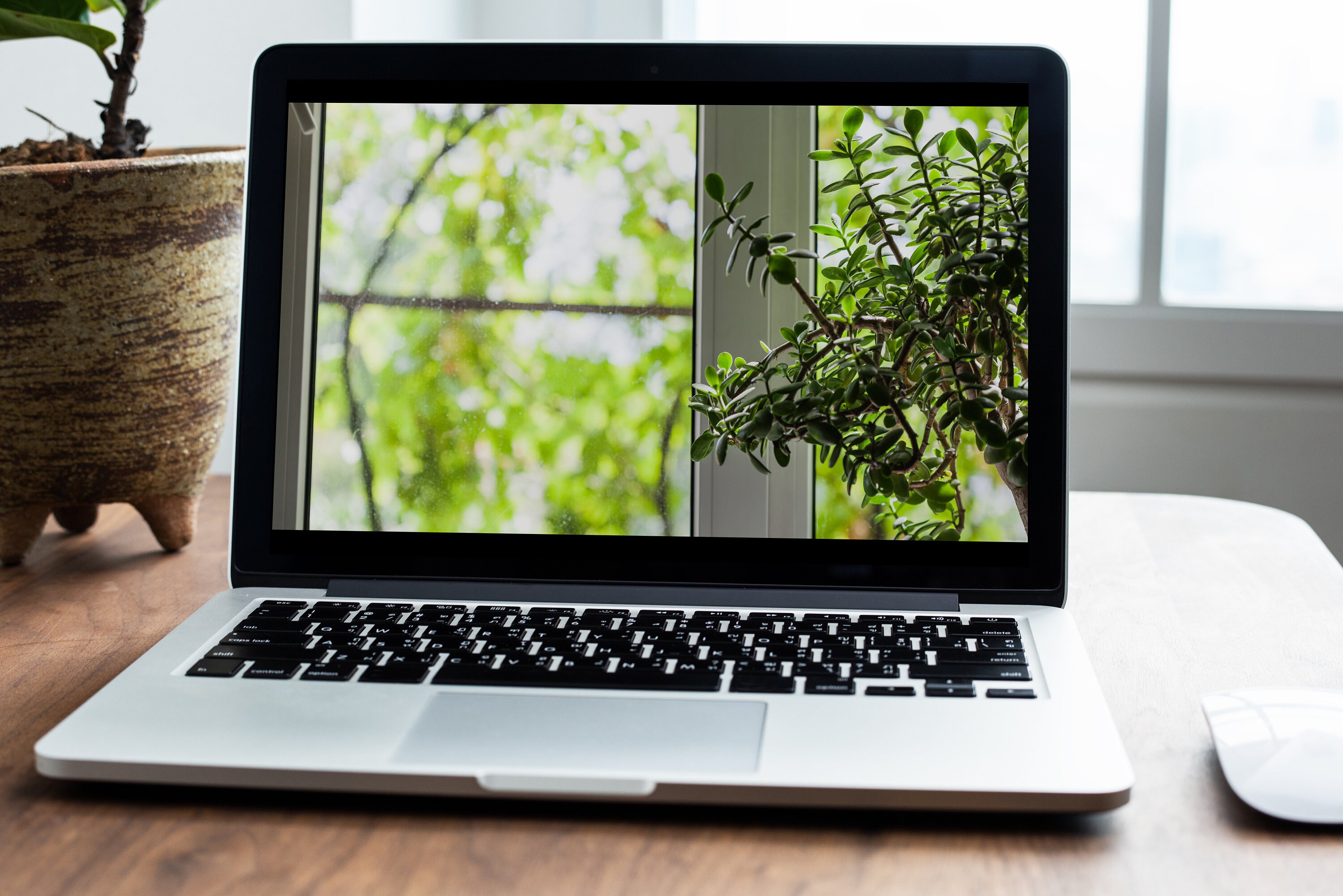 Realistic Plants Virtual Background, Green Leaves Zoom Background ...