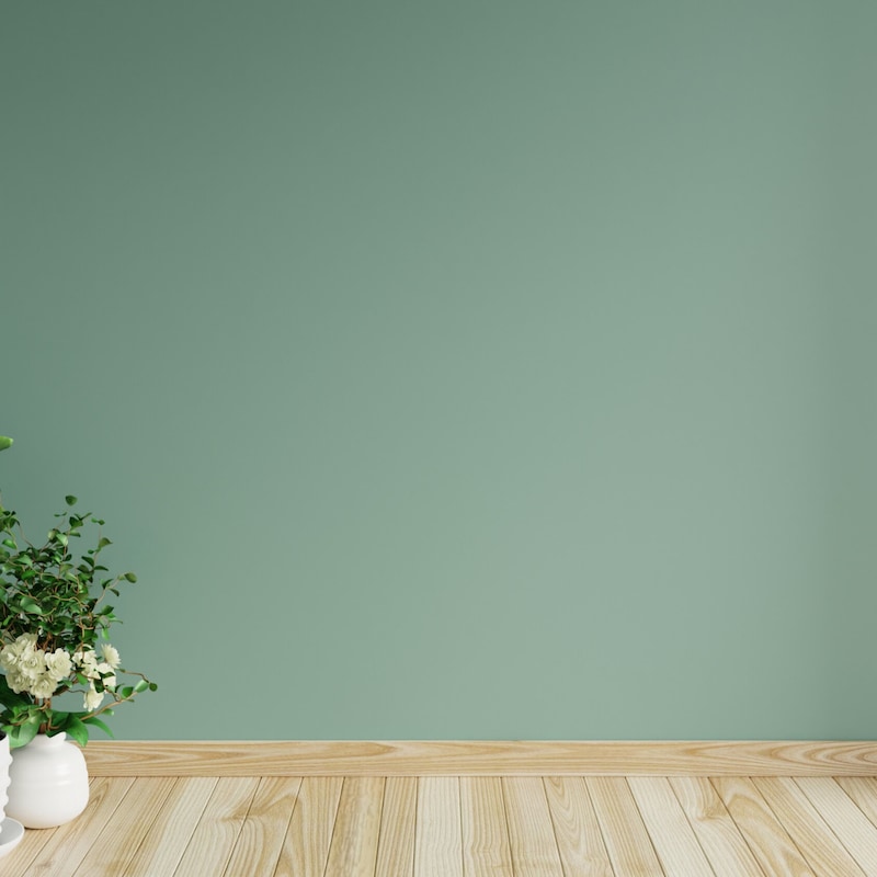 Teams Background With Plants - Etsy