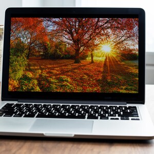 Fall Leaves Instant Download Virtual Background, Best Microsoft Teams ...