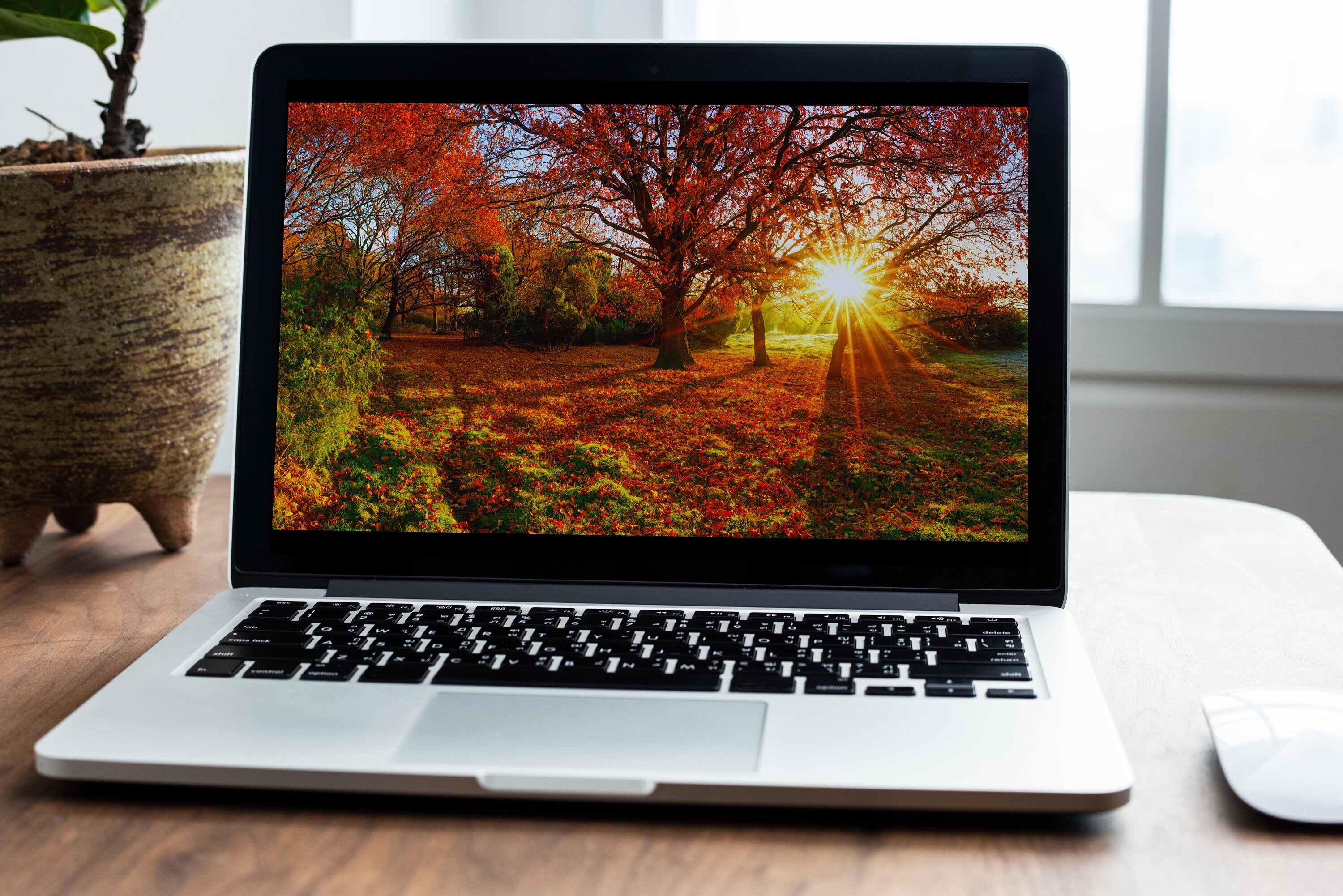 Fall Leaves Instant Download Virtual Background, Best Microsoft Teams ...