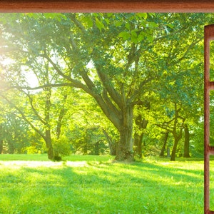 Bright Window Zoom Background, Best Microsoft Teams Background, Trees ...