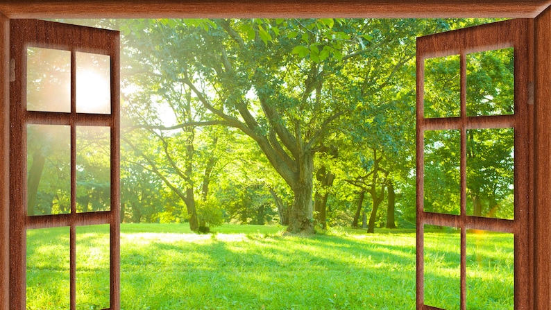 Bright Window Zoom Background, Best Microsoft Teams Background, Trees ...