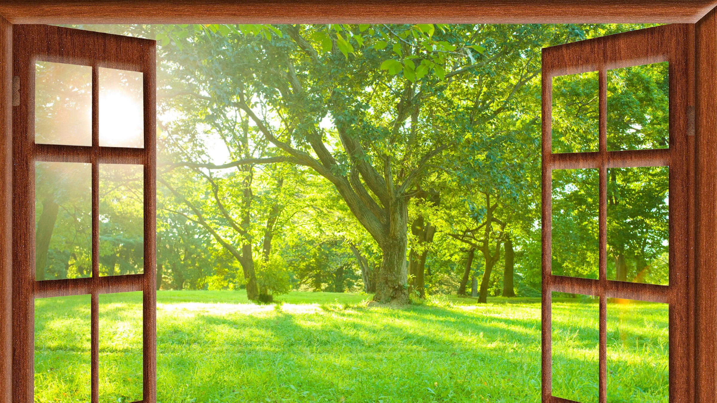 Bright Window Zoom Background, Best Microsoft Teams Background, Trees ...