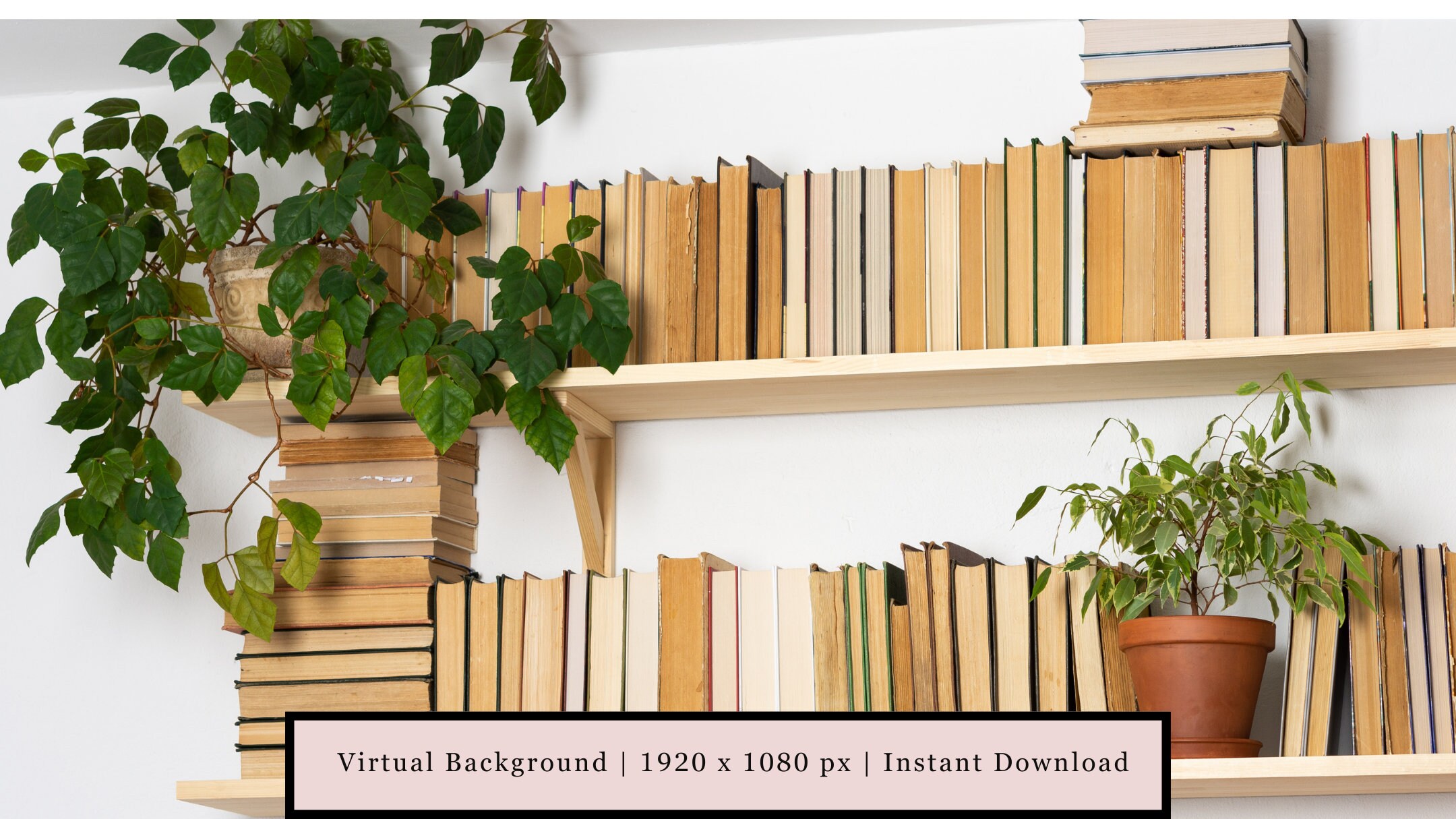 Realistic Bookcase Zoom Background, Bookshelf Virtual Background ...