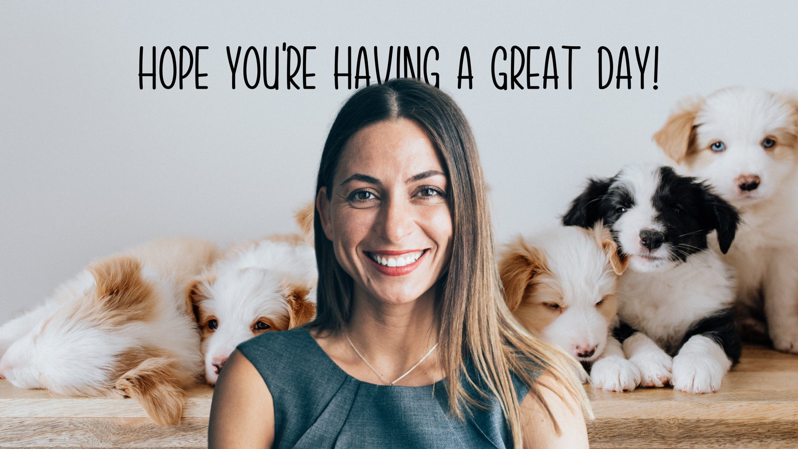 Puppy Zoom Background, Work From Home Virtual Background, MS Teams ...