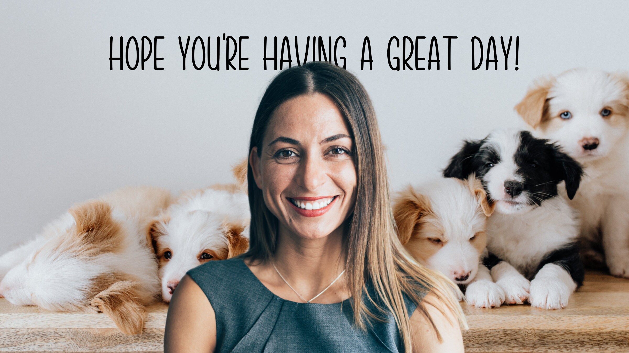 Puppy Zoom Background, Work From Home Virtual Background, MS Teams ...