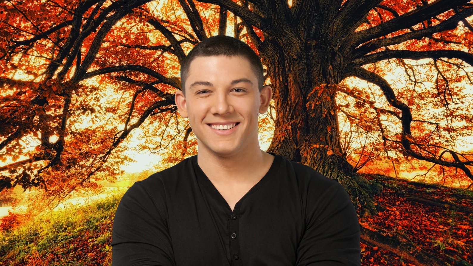 Forest Zoom Background, Fall Virtual Background, Microsoft Teams Trees ...