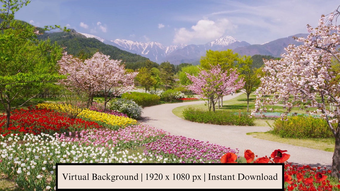 Scenic Landscape Zoom Background Work From Home Virtual - Etsy
