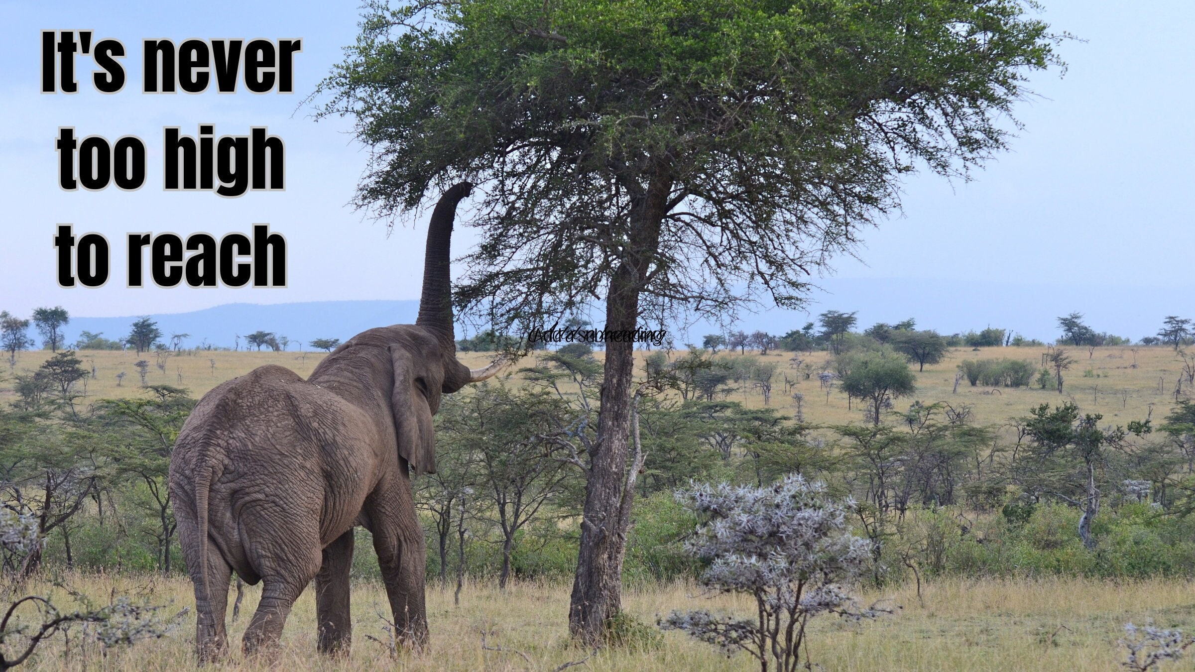 Inspiring Zoom Background for Teams, Home Office Virtual Background ...