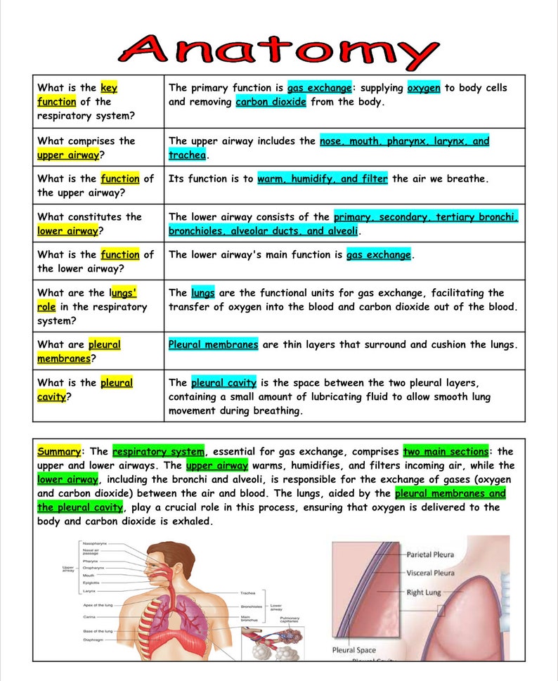 Essentials of Pulmonary Disorders Nursing School Notes Study Guide - Etsy
