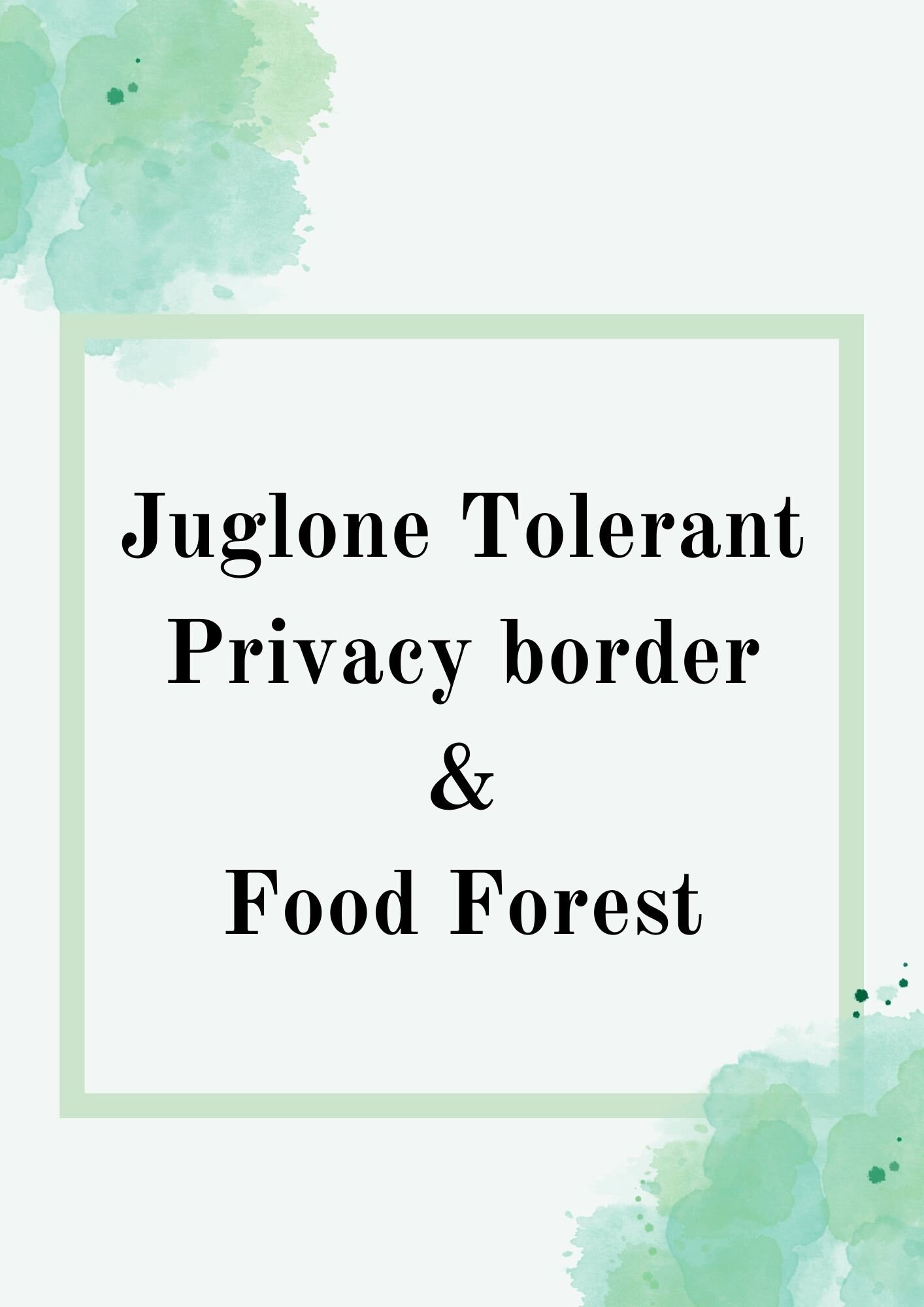 Midwest/eastern US Native Juglone Tolerant Privacy Border & Food Forest ...