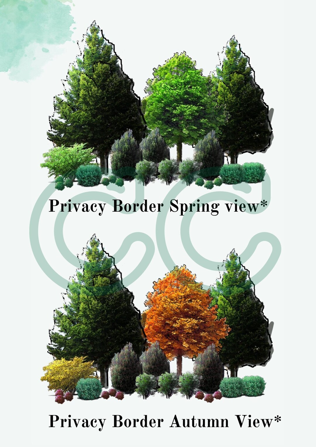 Northwest Native Privacy Border & Food Forest Landscape Design/garden ...