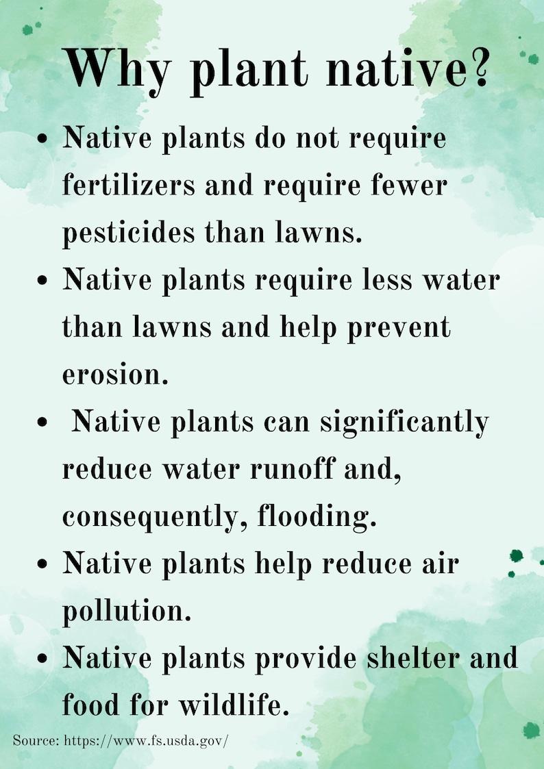 Northwest Native Privacy Border & Food Forest Landscape Design/garden ...