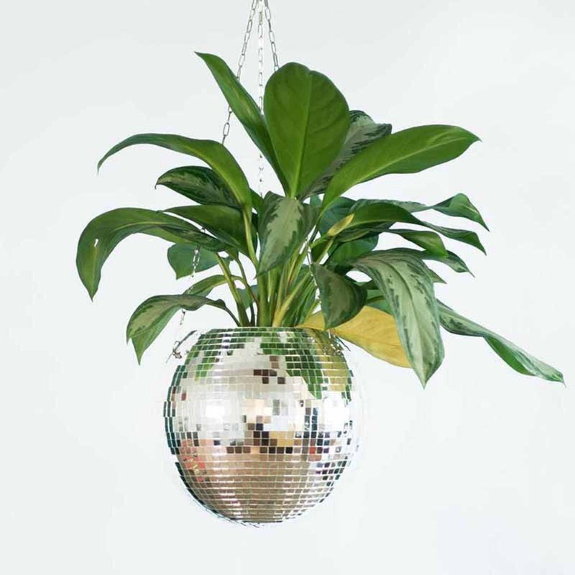 Disco Planter Hanging Disco Planter Hanging Wall Planter-mirror Ball ...