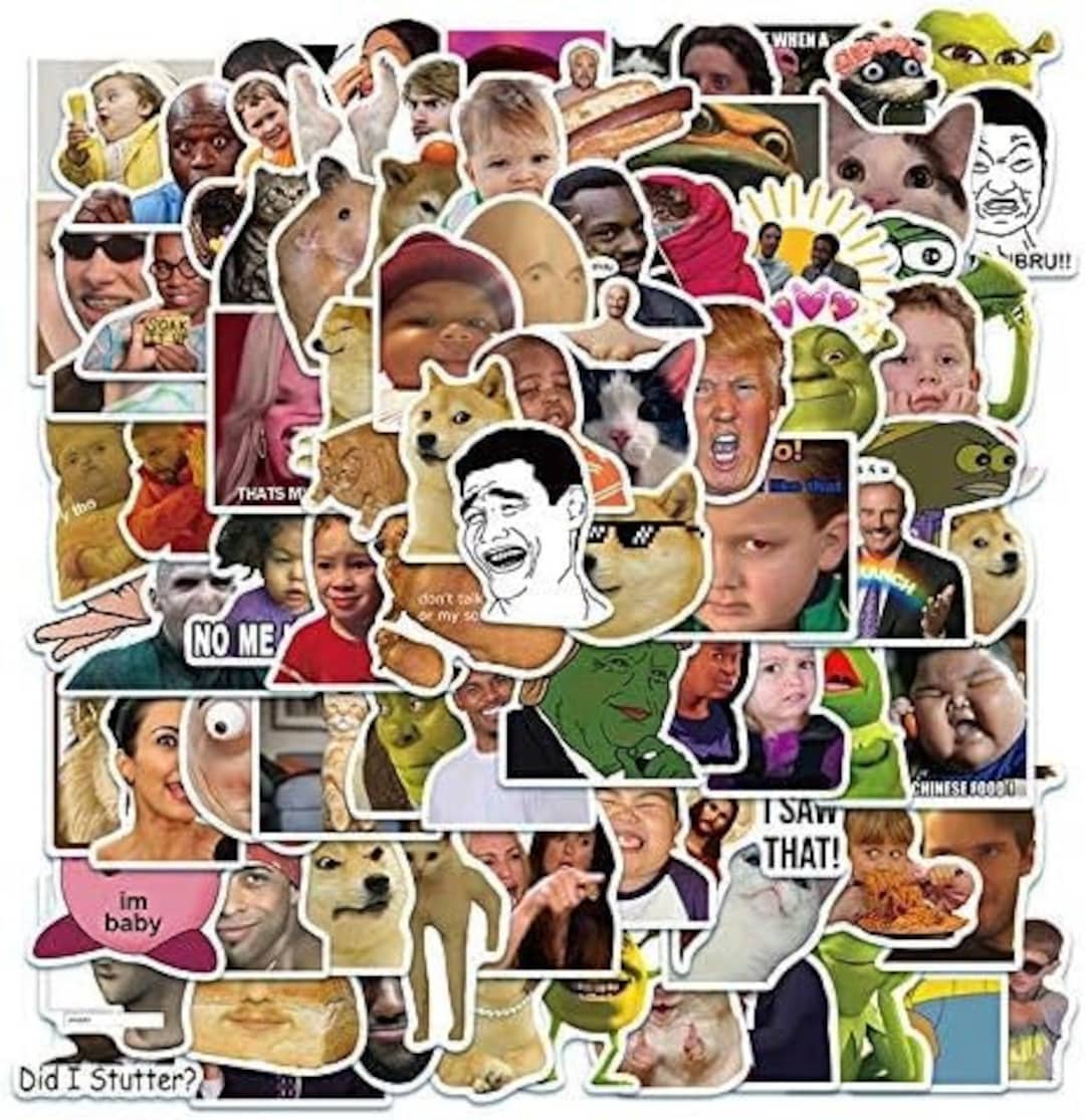100 Pcs Funny Meme Vinyl Stickers Pack Vine Stickers for - Etsy