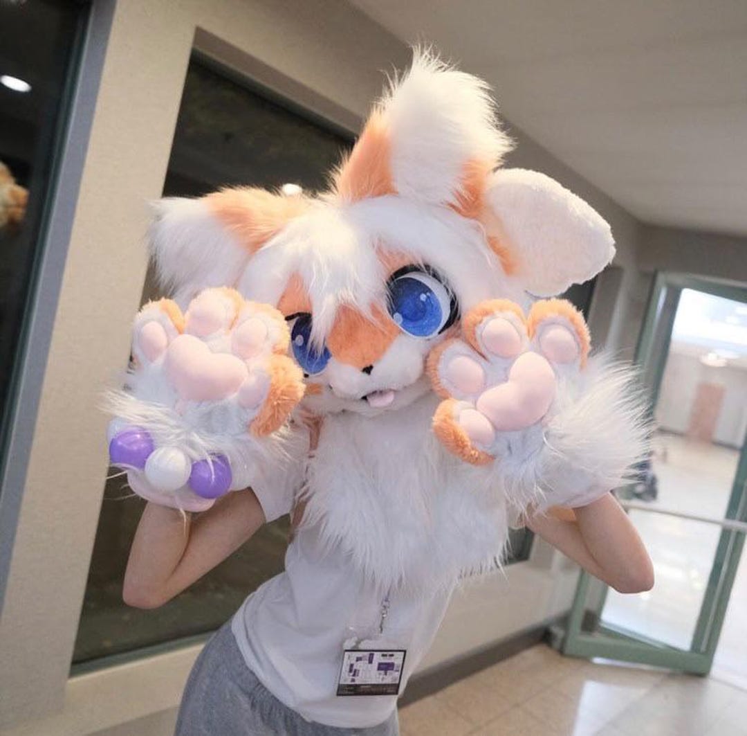 Kemono Cat Fursuit - Etsy