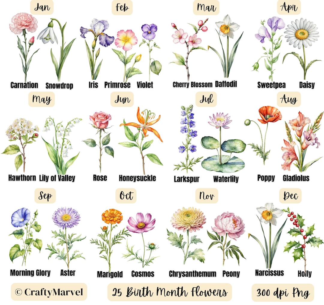 Watercolor Birth Month Flowers PNG Set: Custom Zodiac (digital Download ...