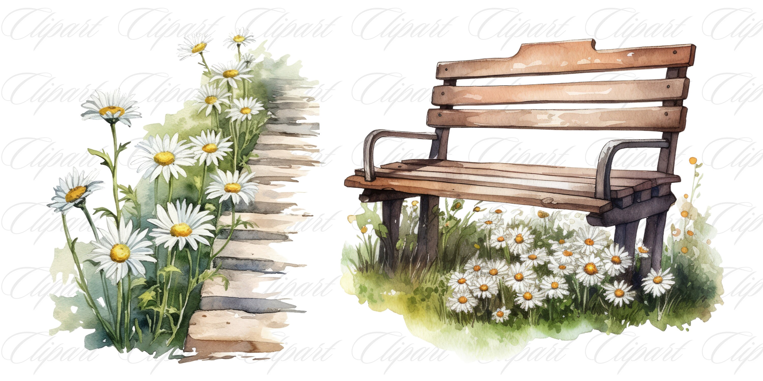 Watercolor Spring Daisy Flower Clipart, 24 PNG Files High Quality ...