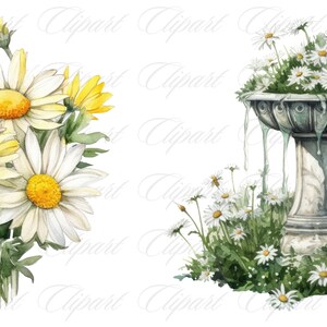 Watercolor Spring Daisy Flower Clipart, 24 PNG Files High Quality ...